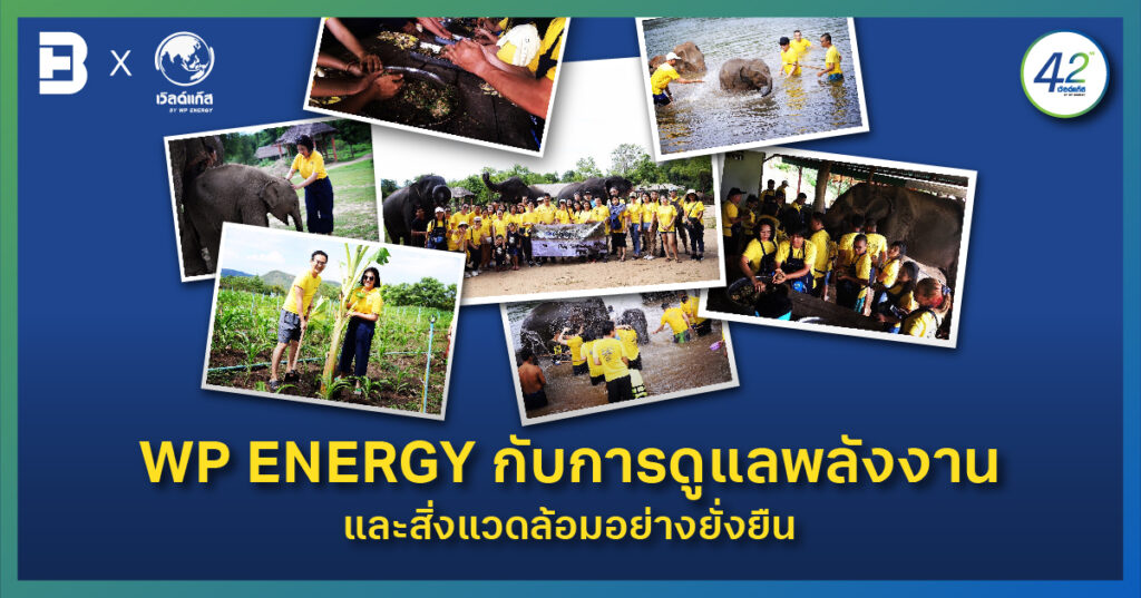 WP ENERGY กับการดูแลพลังงานและสิ่งแวดล้อมอย่างยั่งยืน | BrandThink