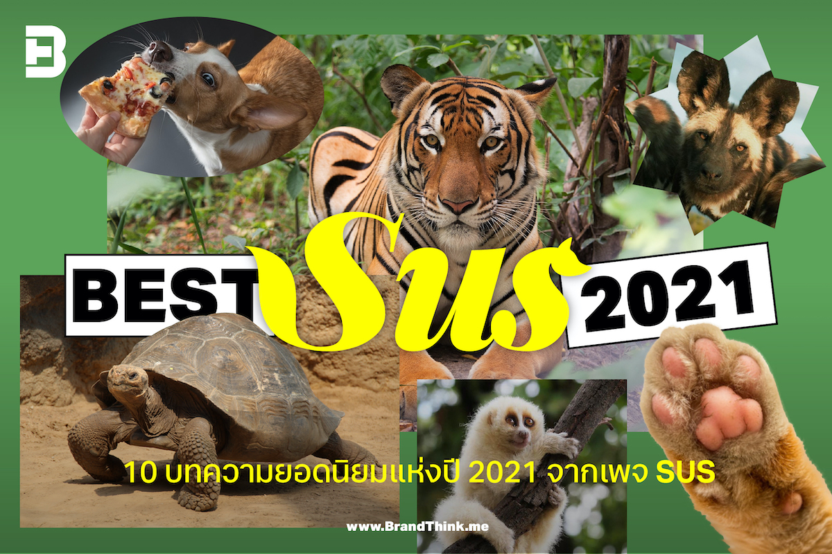 BEST CONTENT 2021 of SUS | BrandThink