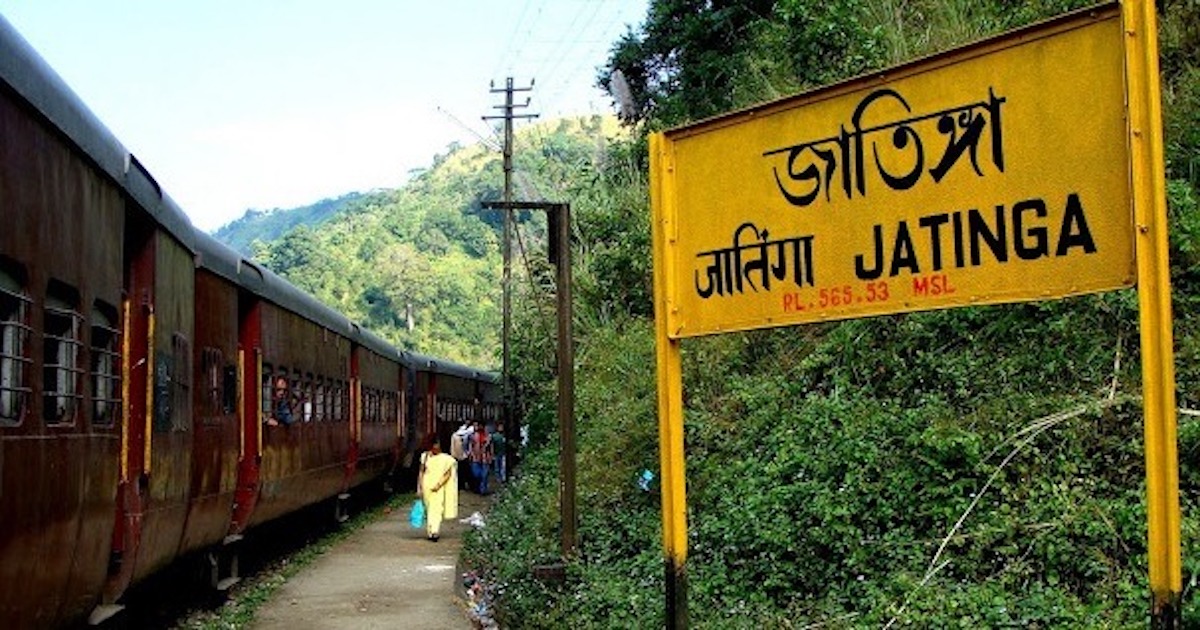 ปริศนาการตายหมู่ของนกในหมู่บ้าน Jatinga รัฐอัสสัม ประเทศอินเดีย ...