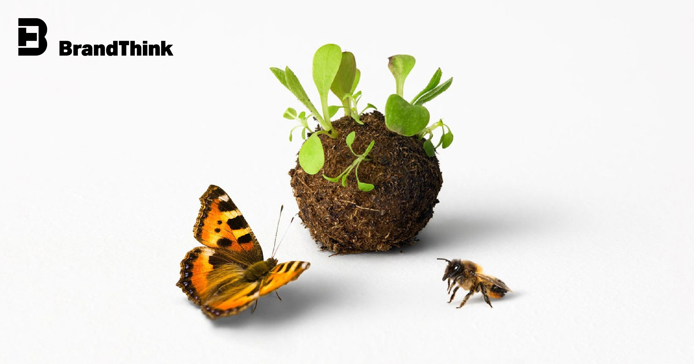 IKEA x WWF เปิดตัวการอนุรักษ์รูปแบบใหม่ กระจายความอร่อยสู่ธรรมชาติ ...