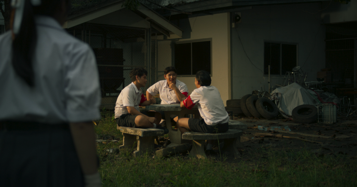 Colombe | BrandThink