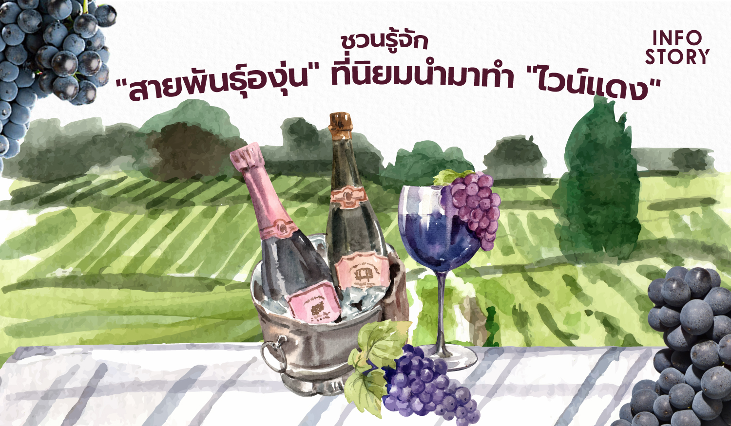 ชวนรู้จัก “สายพันธุ์องุ่น” ที่นิยมนำมาทำ “ไวน์แดง” - BrandThink