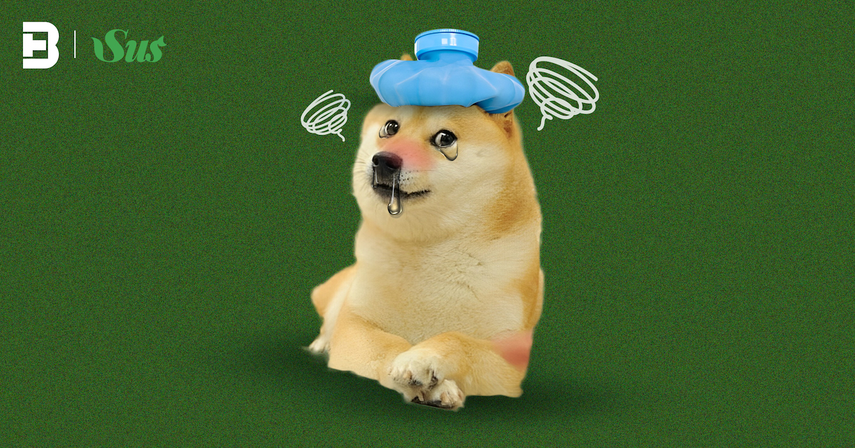 ขอให้น้องปลอดภัย เจ้าของหมาชิบะมีม ‘Doge’ เผย ตอนนี้น้องกำลังป่วยหนัก ...