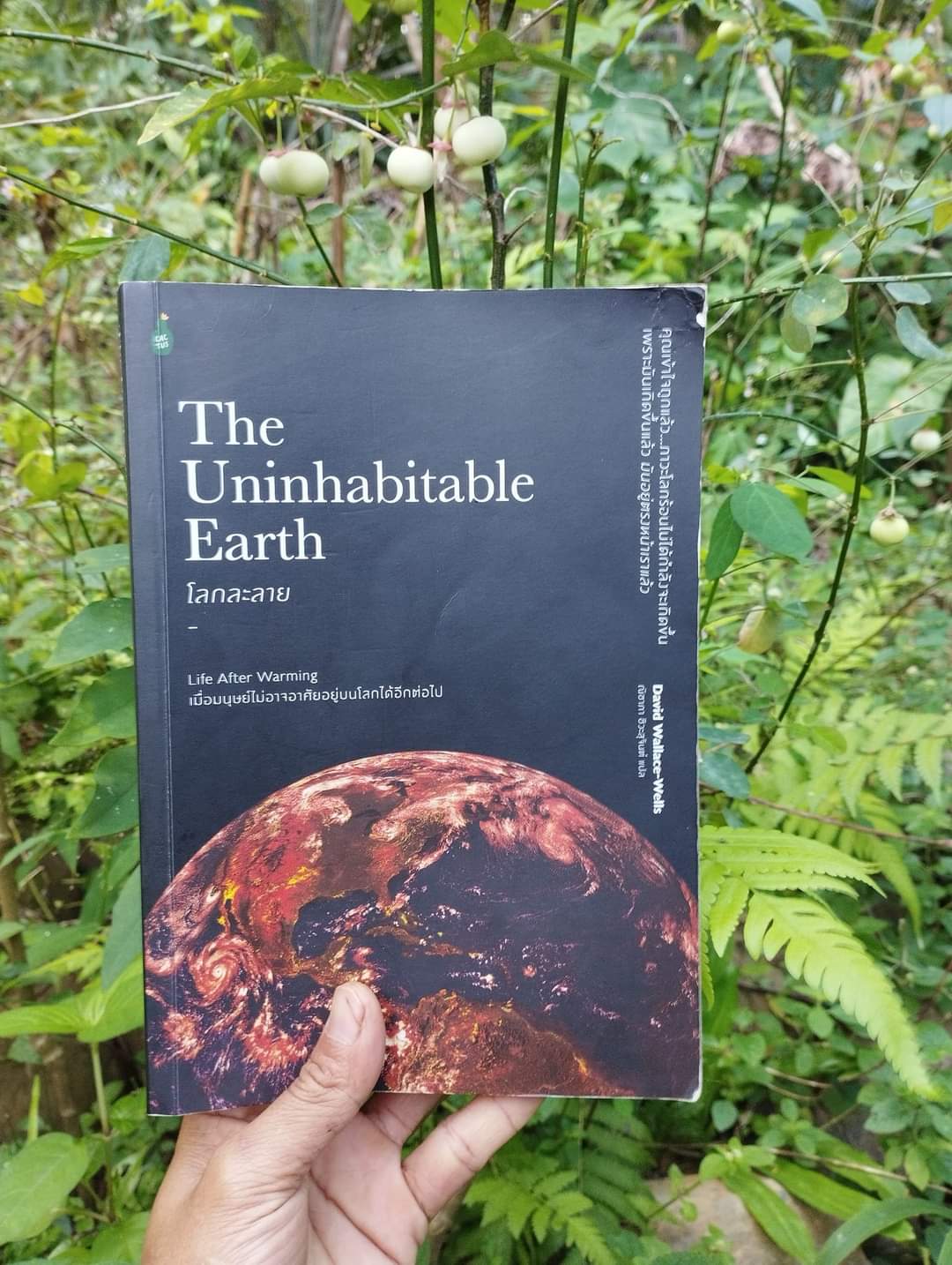 บทรีวิว The Uninhabitable Earth-โลกละลาย | Thinkster