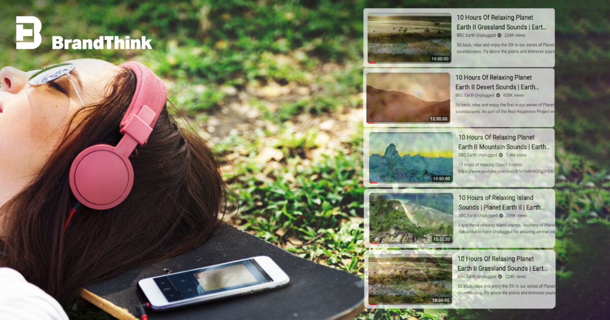 ชวนฟังธรรมชาติร้องเพลง แนะนำ 5 เพลย์ลิสต์ จากภูผาถึงทะเล ฟังกันยาวๆ 50 ชั่วโมง | BrandThink