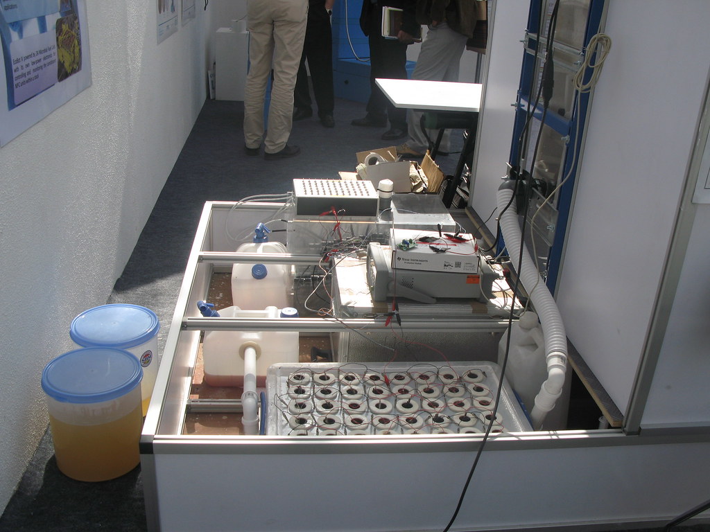 Microbial Fuel Cell (MFC) technology | Thinkster